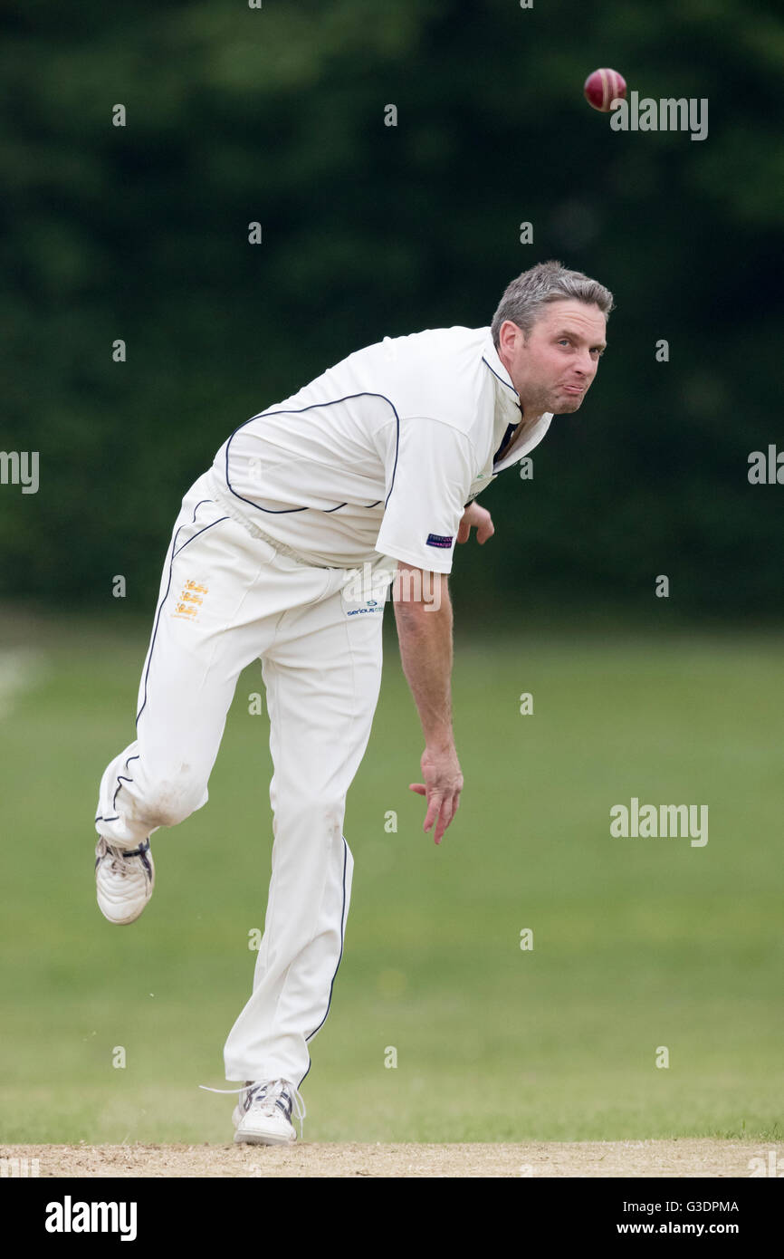 cricket, bowler in action Stock Photo - Alamy
