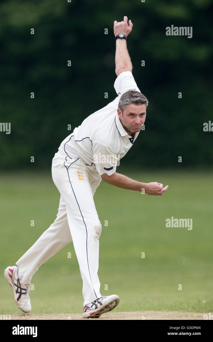 cricket, bowler in action Stock Photo - Alamy