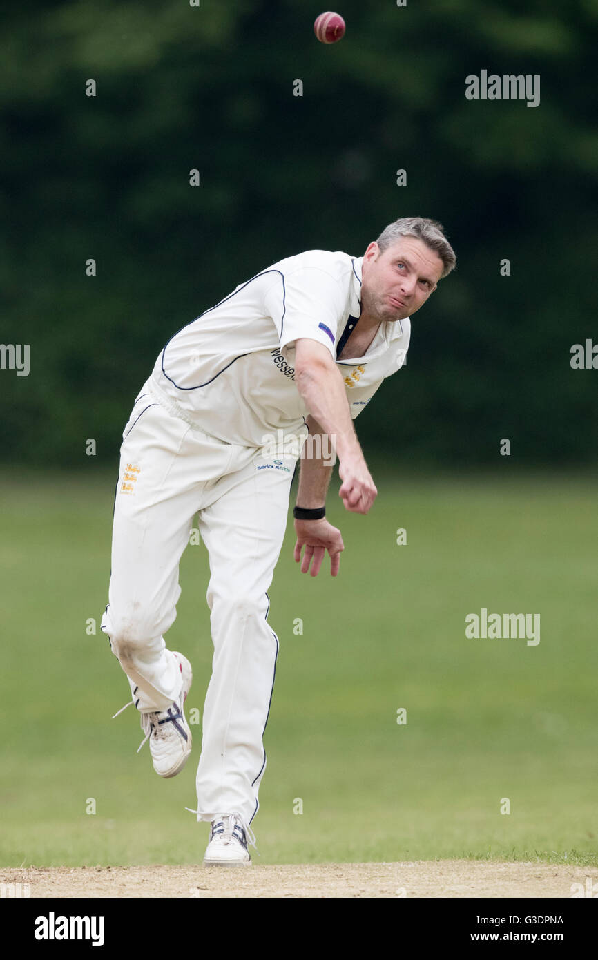 cricket, bowler in action Stock Photo - Alamy