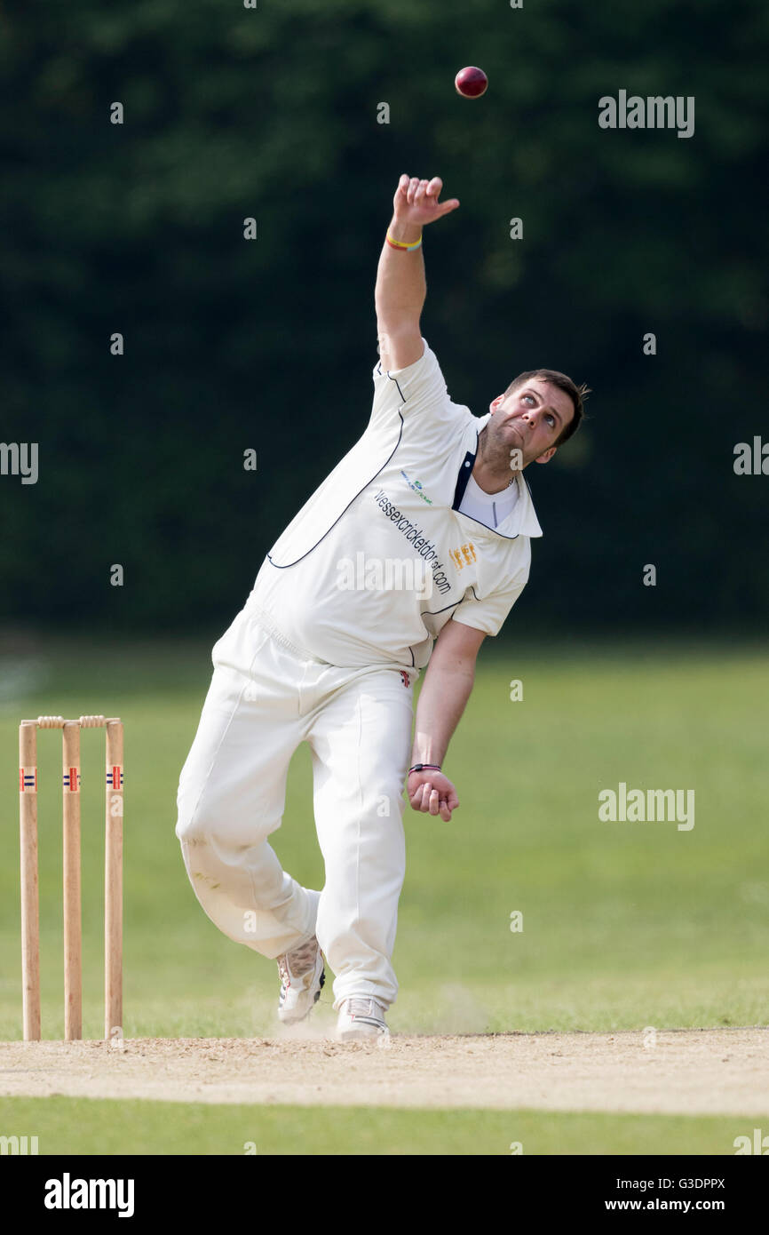 cricket, bowler in action Stock Photo - Alamy