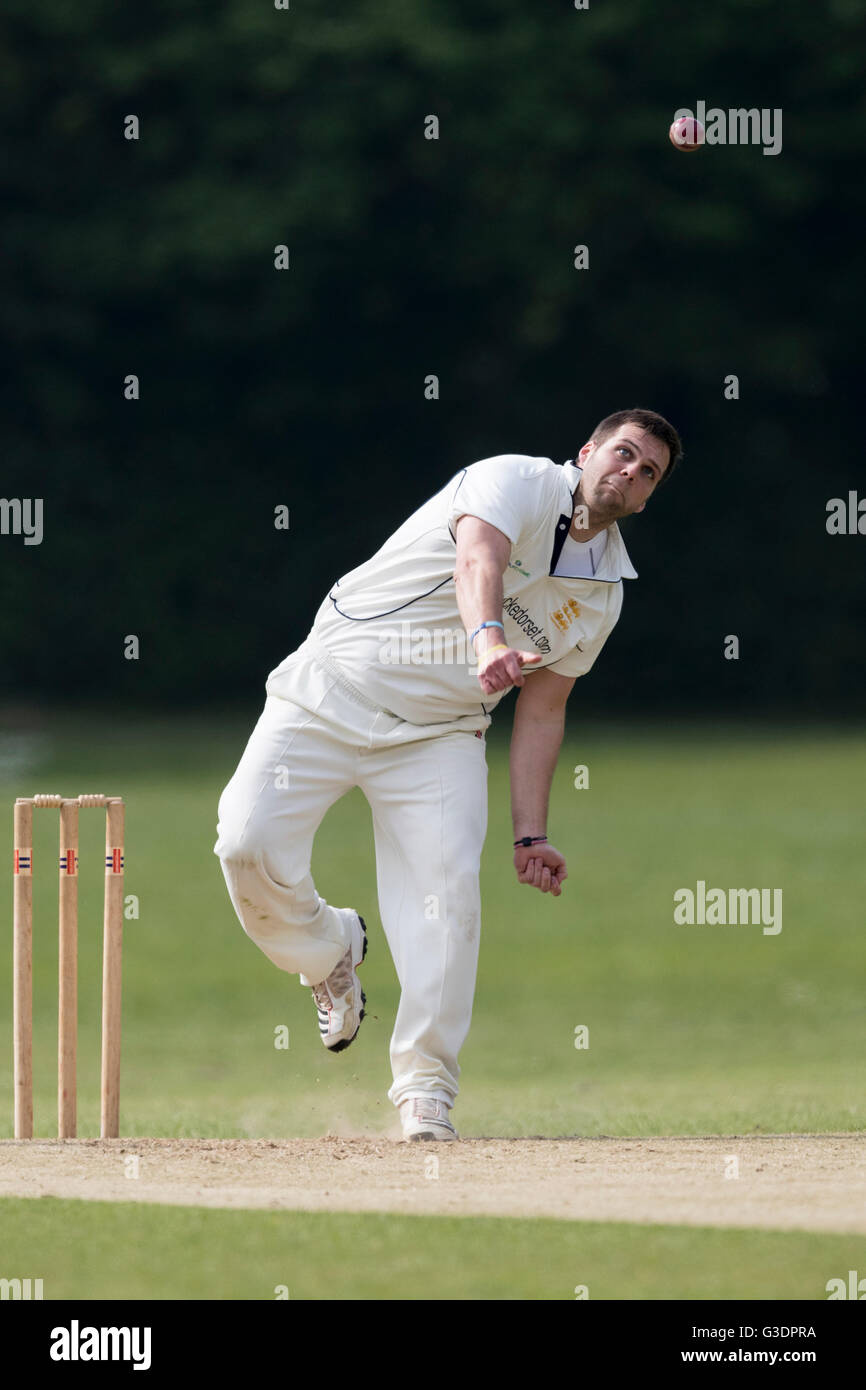 cricket, bowler in action Stock Photo - Alamy