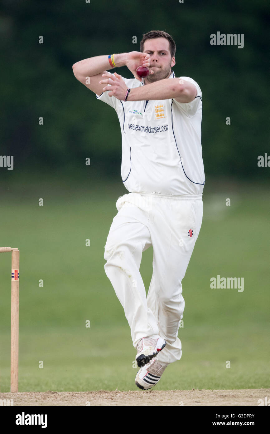 cricket, bowler in action Stock Photo - Alamy