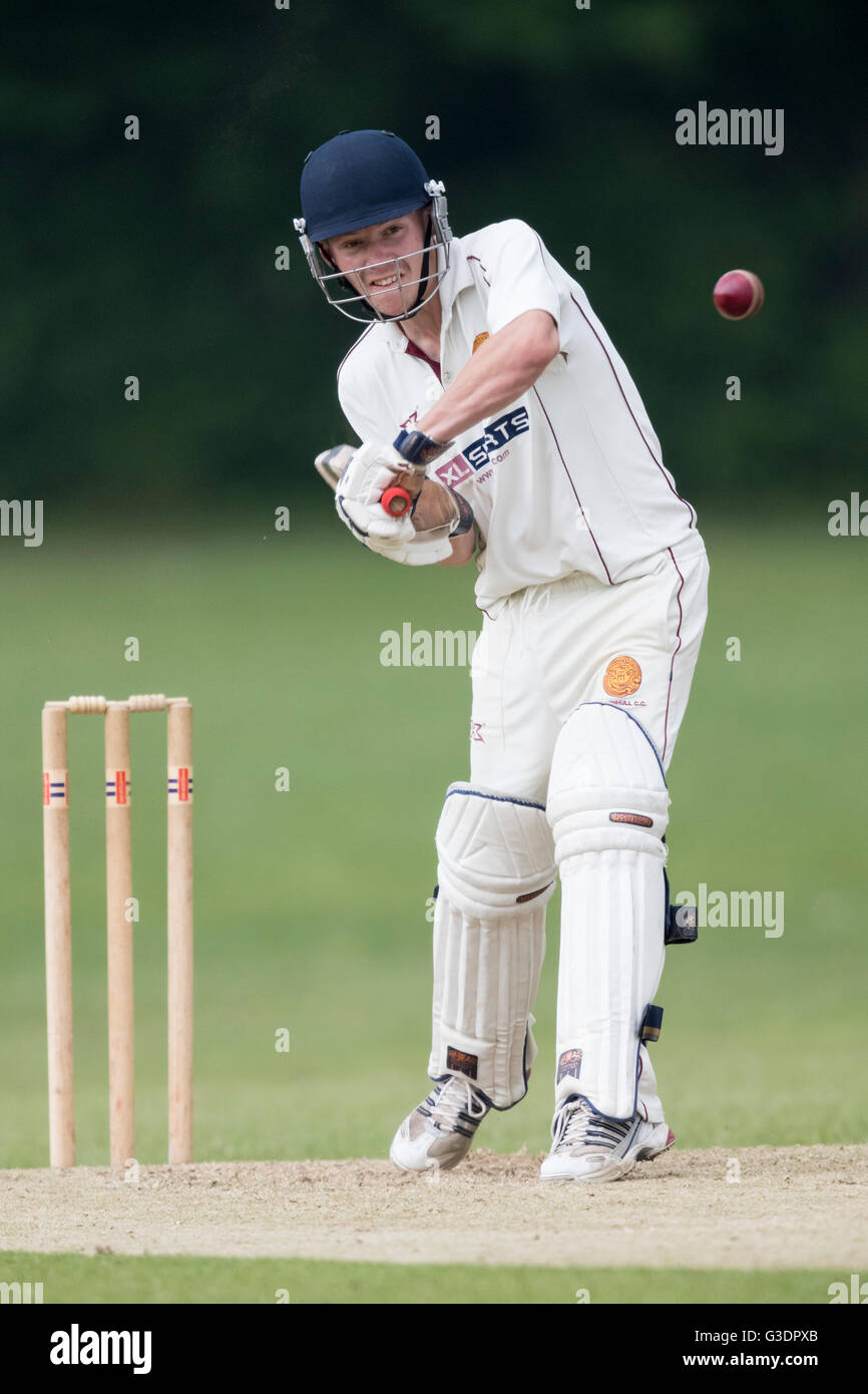 Cricket batsman in action - Dorset, England, UK Stock Photo - Alamy