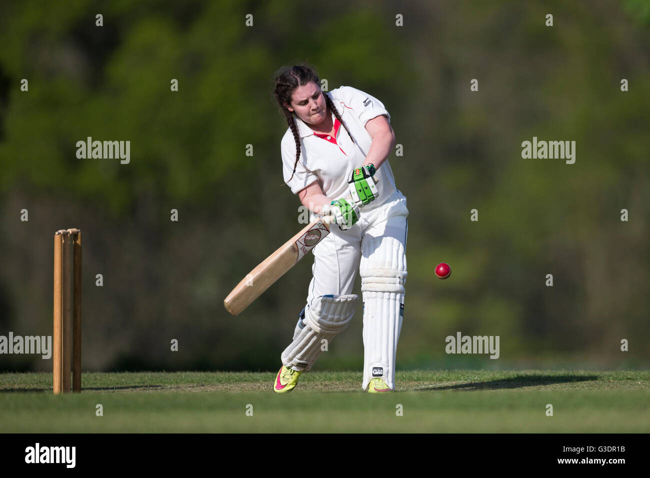female cricket batsman in action Stock Photo - Alamy