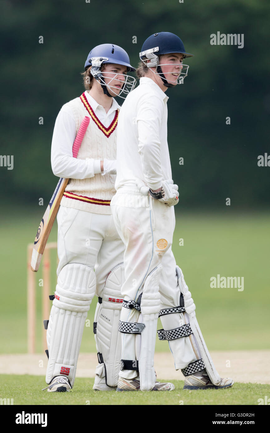 Cricket batsman in action - Dorset, England, UK Stock Photo - Alamy