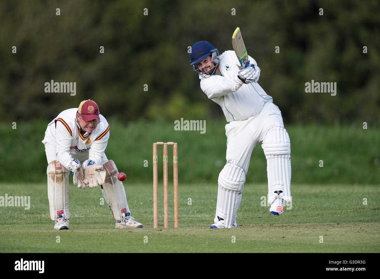 Cricket batsman in action - Dorset, England, UK Stock Photo - Alamy
