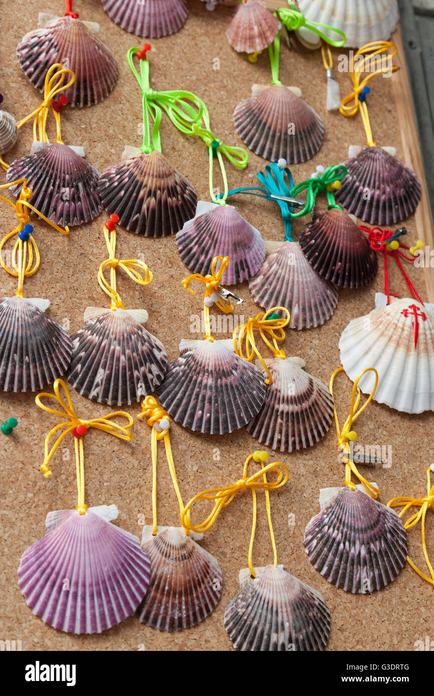 Camino scallop shells hi-res stock photography and images - Alamy