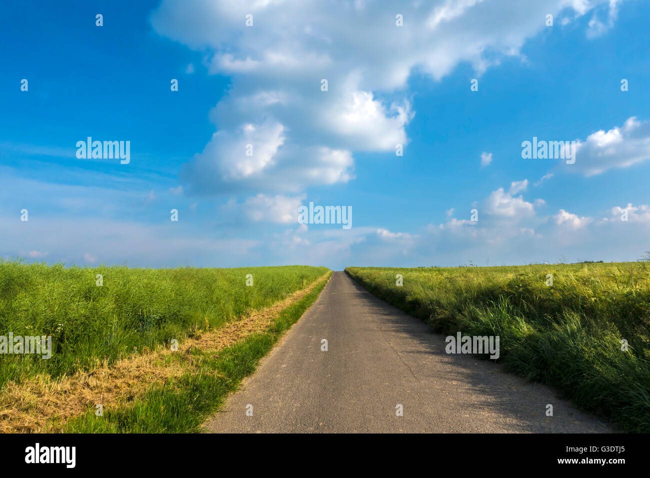 small road through fields leading straight to heaven Stock Photo - Alamy