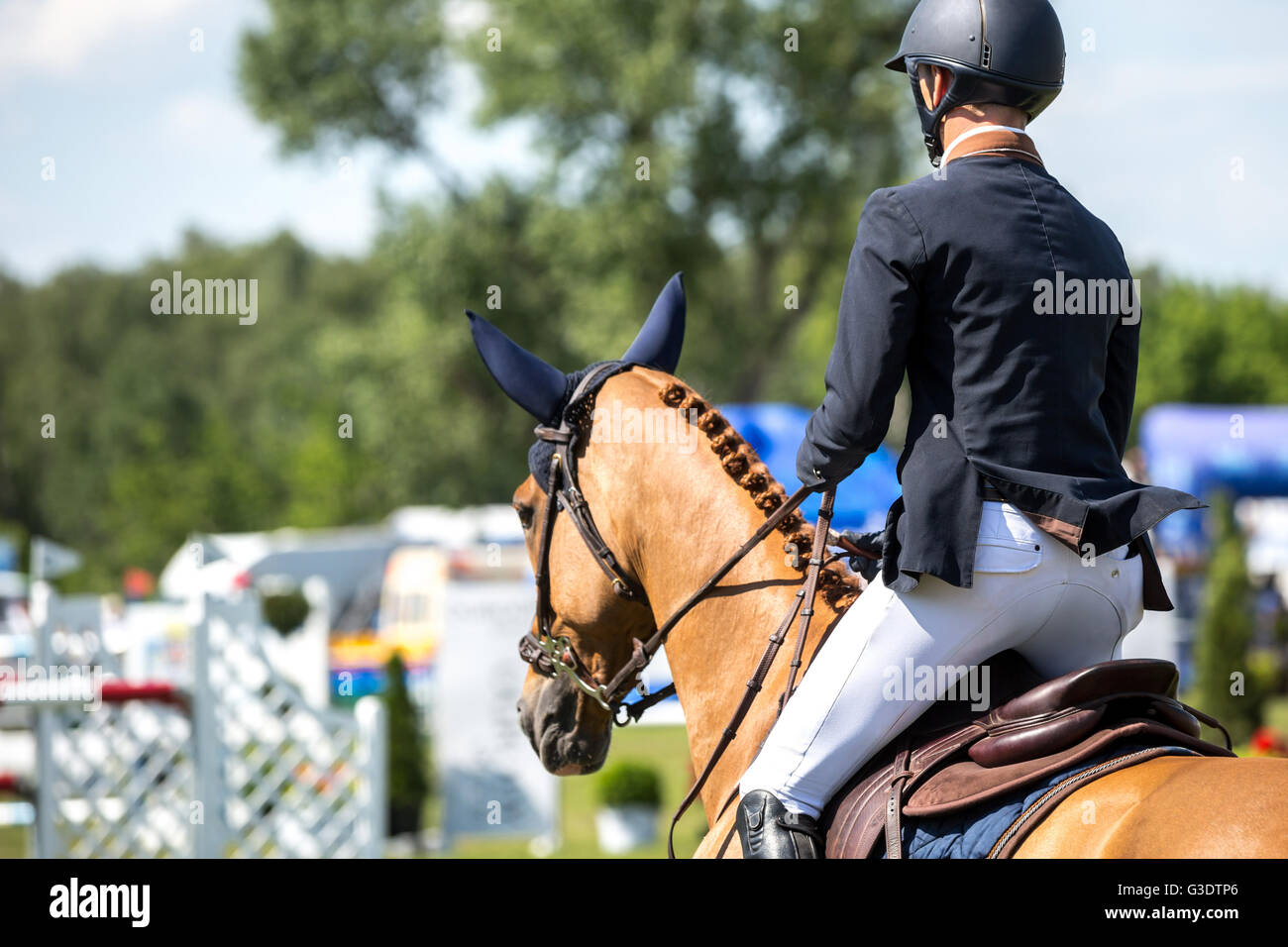 Equestrian Sports, Horse jumping, Show Jumping, Horse Riding themed ...