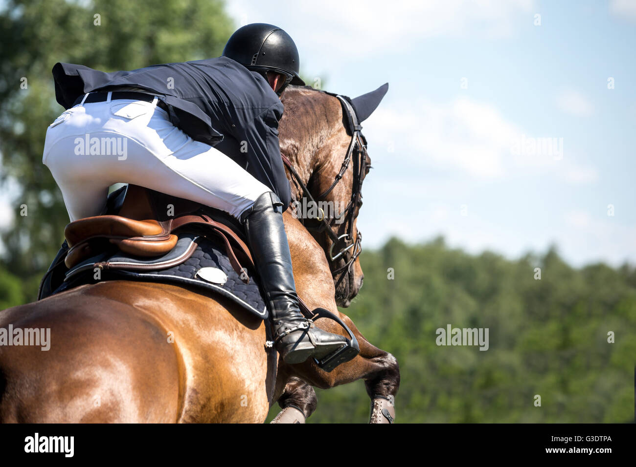 Equestrian Sports, Horse jumping, Show Jumping, Horse Riding themed ...