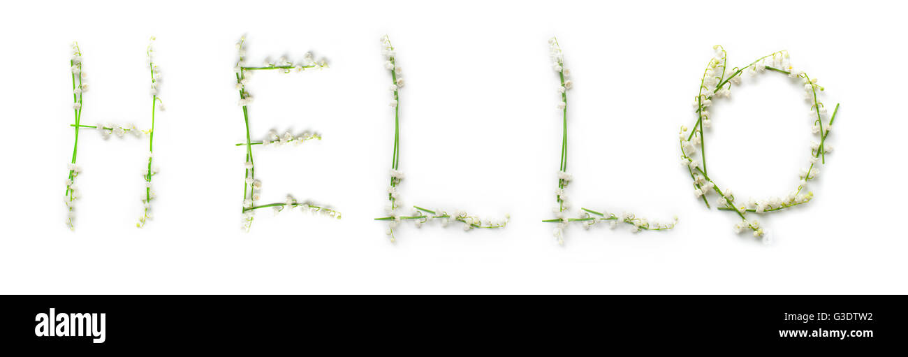 Hand painted Poster with Flowers and Lettering. word hello Stock Photo ...