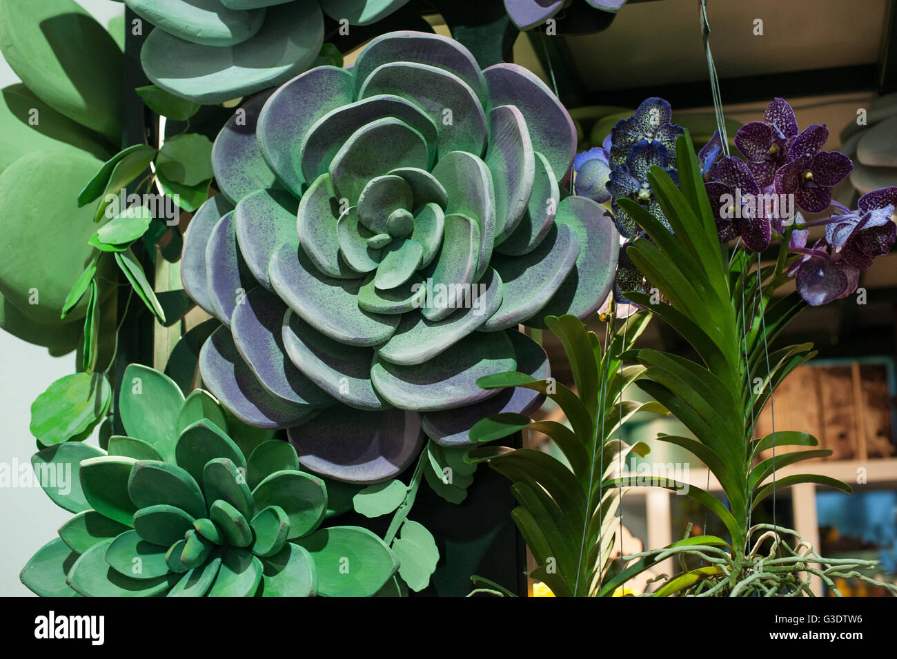 Indoor still hi-res stock photography and images - Alamy