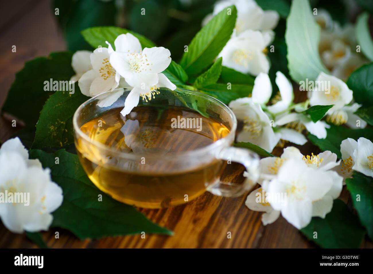 Jasmine tea in a glass pot Stock Photo - Alamy