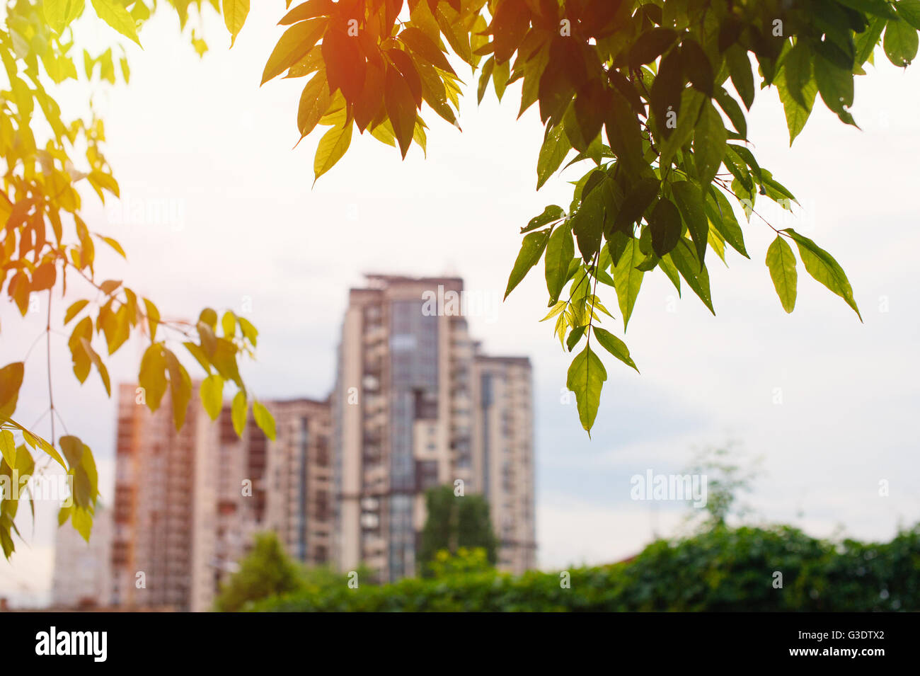 High rise apartment view hi-res stock photography and images - Alamy