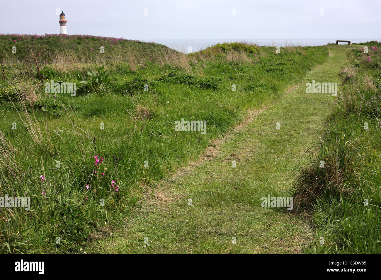Boddam Lighthouse High Resolution Stock Photography and Images - Alamy