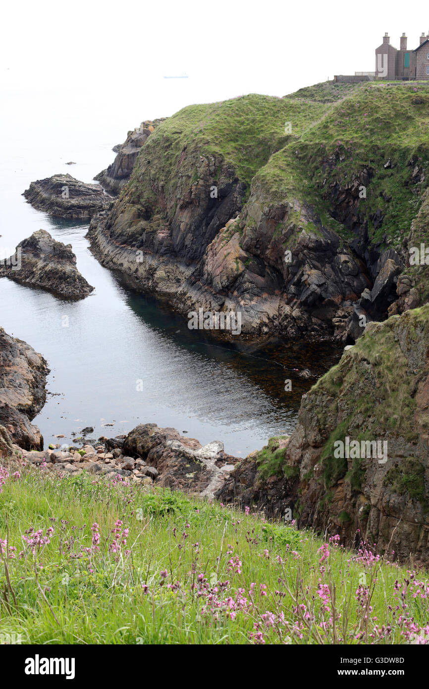 Boddam lighthouse hi-res stock photography and images - Alamy