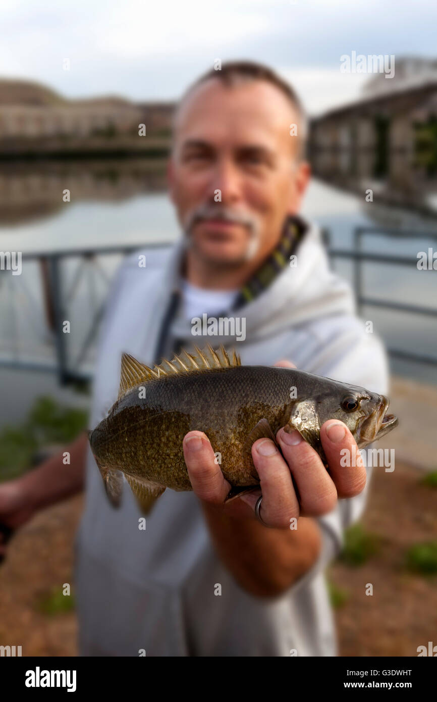 Fish and snake hi-res stock photography and images - Alamy