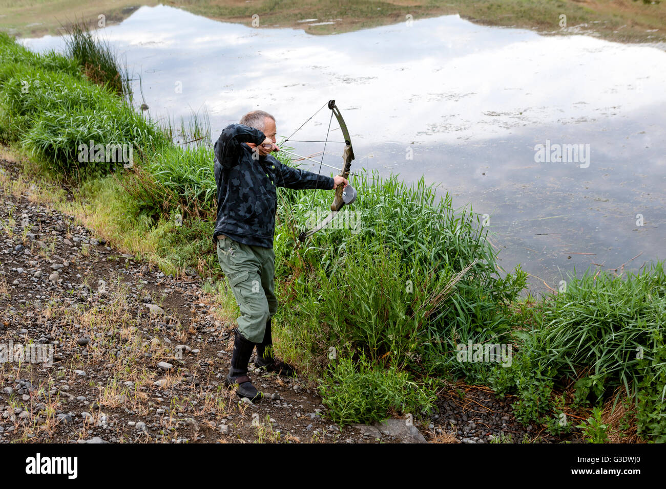 Bull frogs hi-res stock photography and images - Alamy