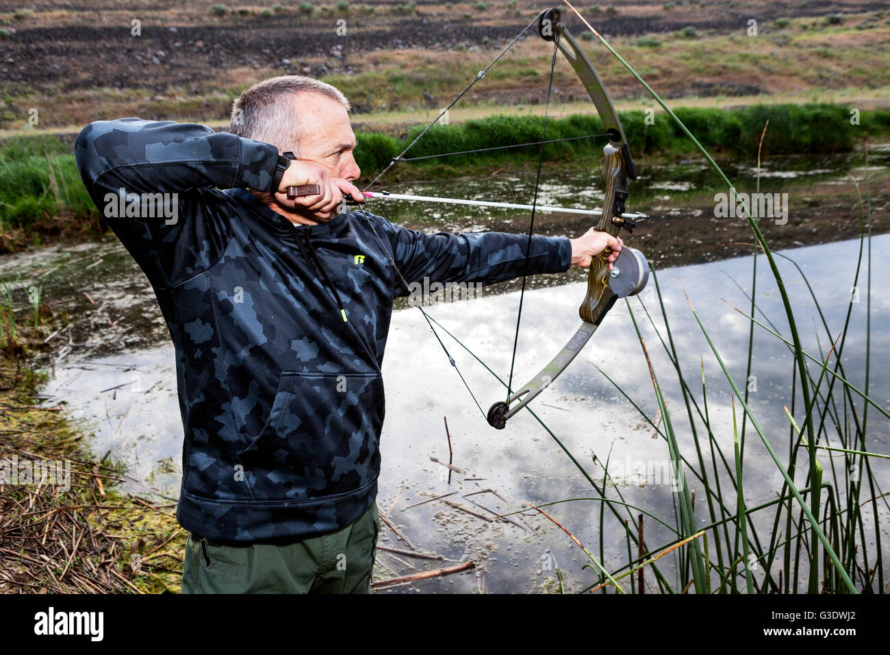 Bull frogs hi-res stock photography and images - Alamy