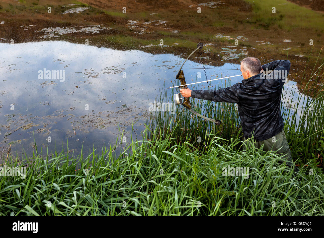 Bull frogs hi-res stock photography and images - Alamy