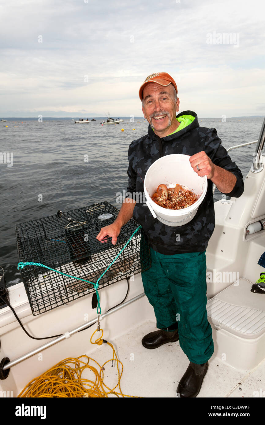 Bucket Of Shrimp High Resolution Stock Photography and Images - Alamy
