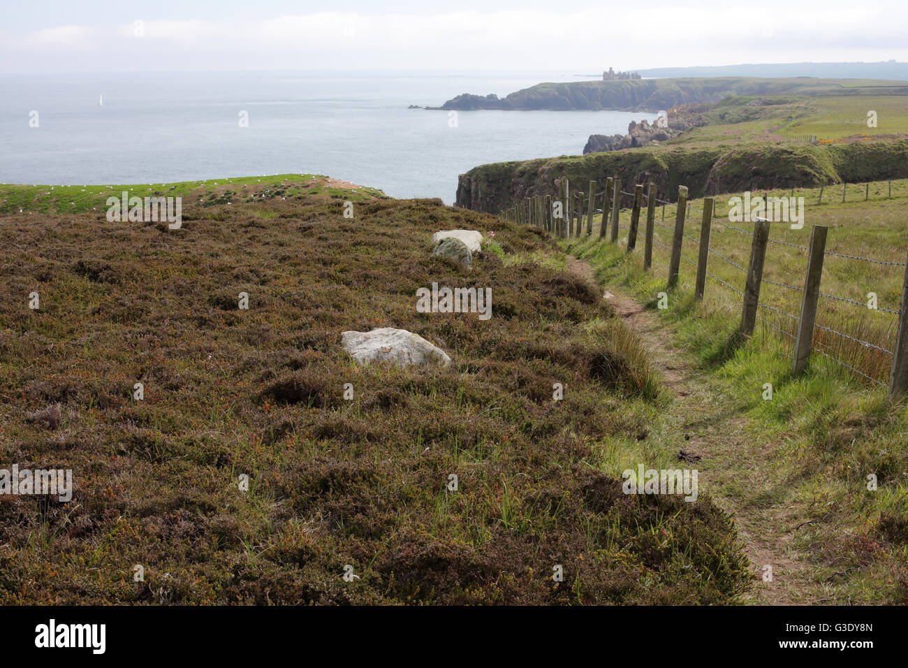 Peterhead trail hi-res stock photography and images - Alamy