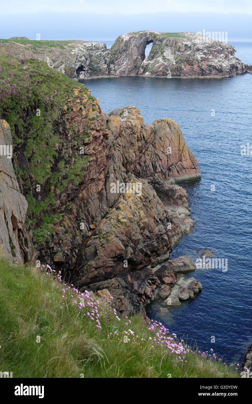 Peterhead trail hi-res stock photography and images - Alamy