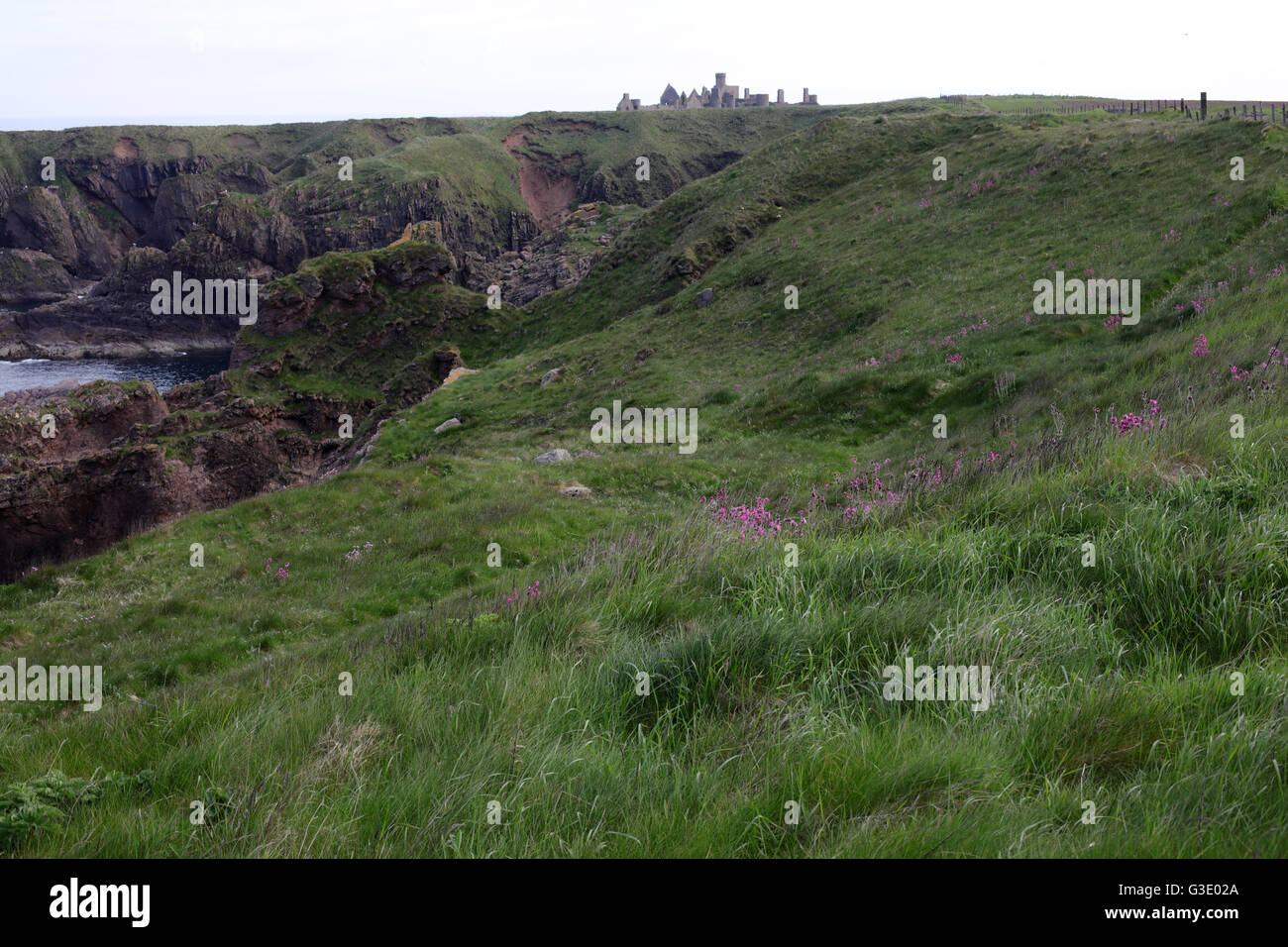 Peterhead trail hi-res stock photography and images - Alamy