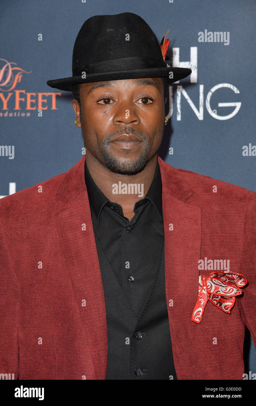LOS ANGELES, CA - MARCH 29, 2016: Joshua Allen at the premiere for ...