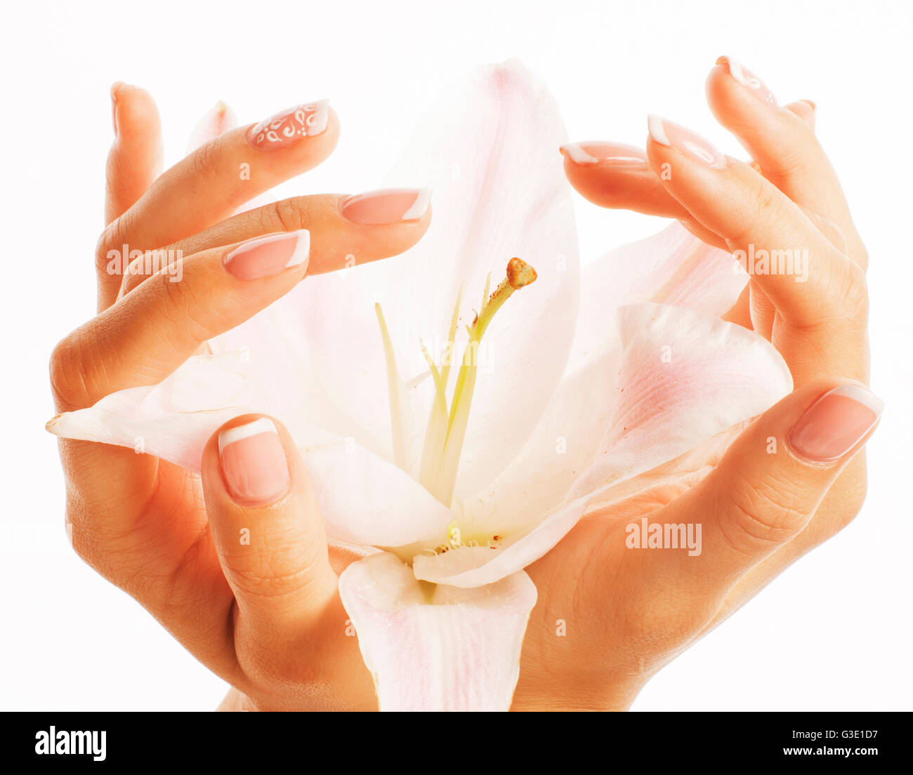 beauty delicate hands with manicure holding flower lily close up ...