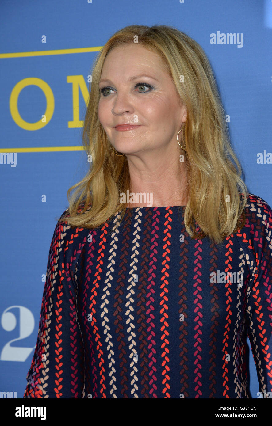 LOS ANGELES, CA - OCTOBER 13, 2015: Actress Joan Allen at the Los ...