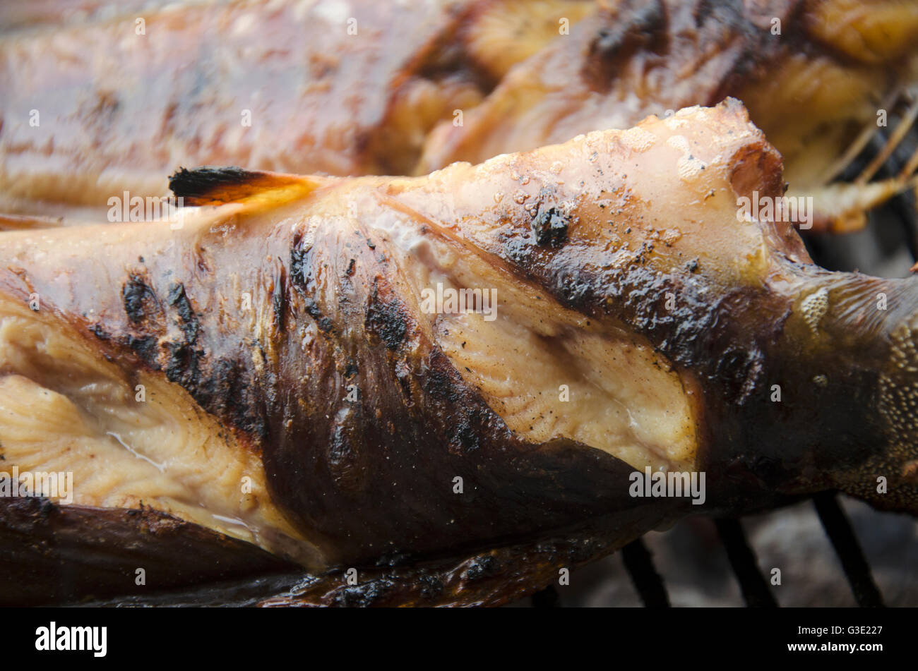 Clarias is a genus of Walking catfish fried thai style grilled on old ...