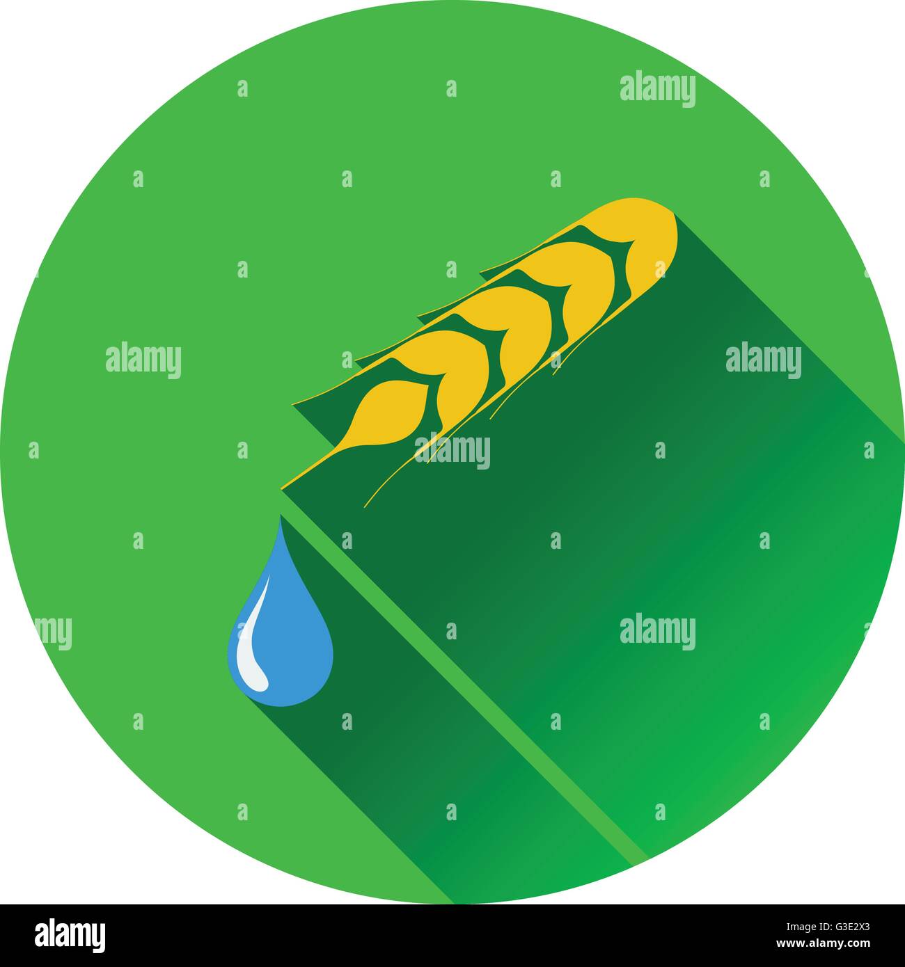 Water drop wheat Stock Vector Images - Alamy
