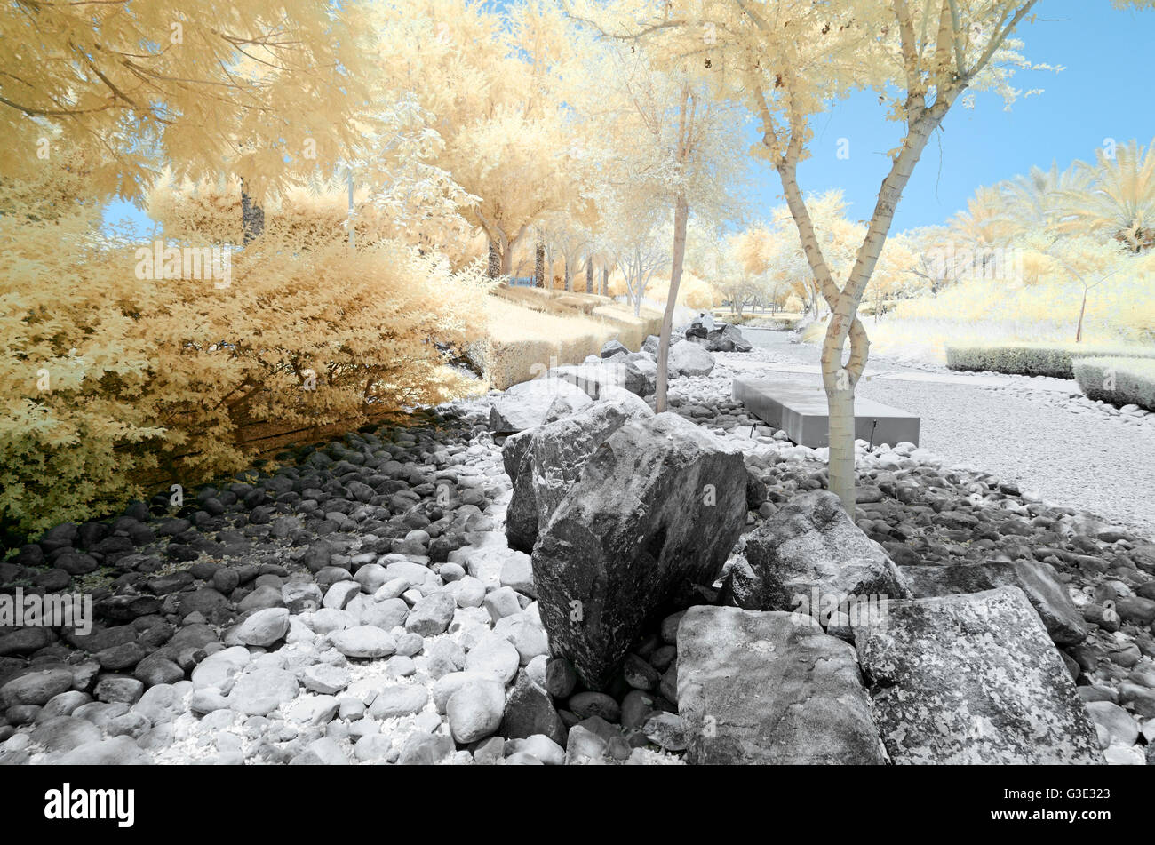 Infrared image of trees and shrubs in a park in false color Stock Photo ...