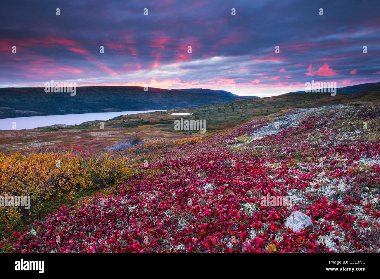 Sunset over fall colors at Wonder Lake, Denali National Park & Preserve ...