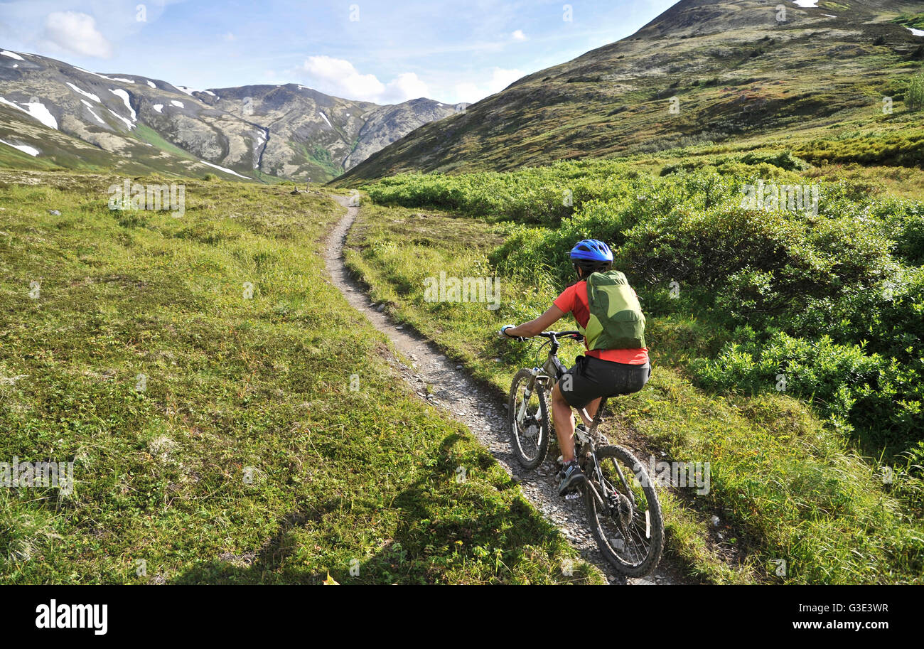 Resurrection pass trail kenai peninsula hi-res stock photography and ...