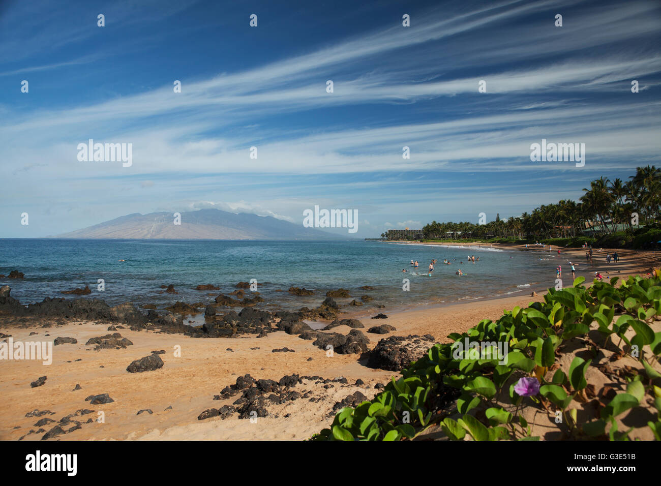 Cirrus Clouds, Keawakapu Beach With Indigenous Beach Morning Glory ...