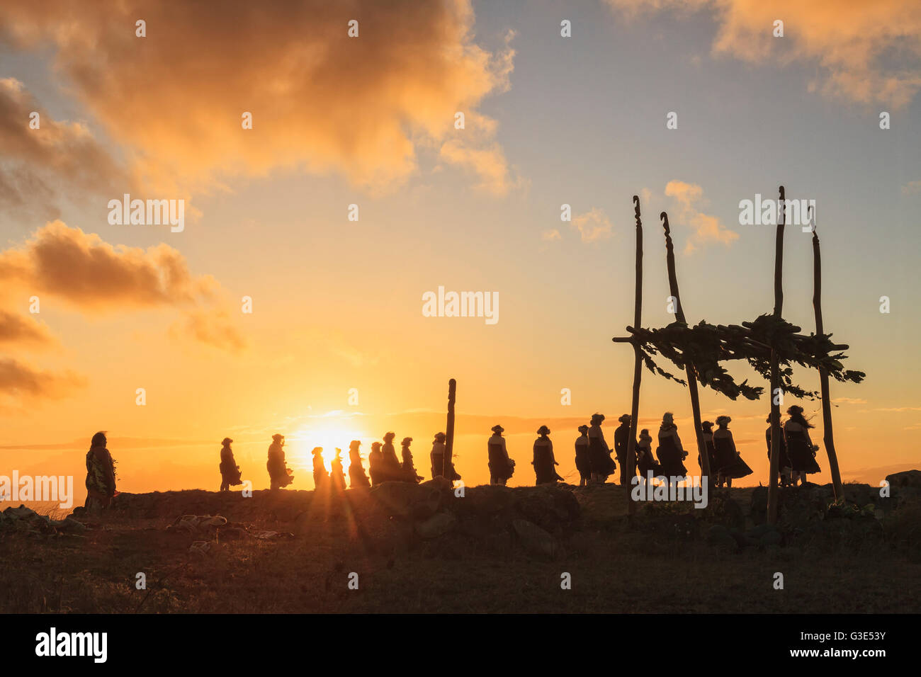 Kumu Keala Ching leads performance of Na Wai Iwi Ola on hula platform ...