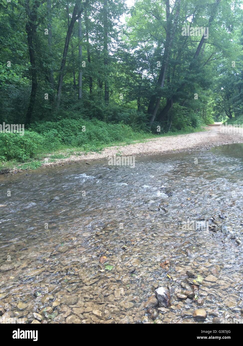 Radiant creek hi-res stock photography and images - Alamy