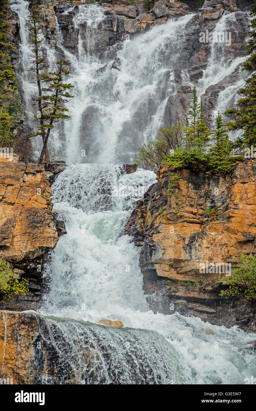 Tangle Falls, Jasper National Park; Alberta, Canada Stock Photo - Alamy