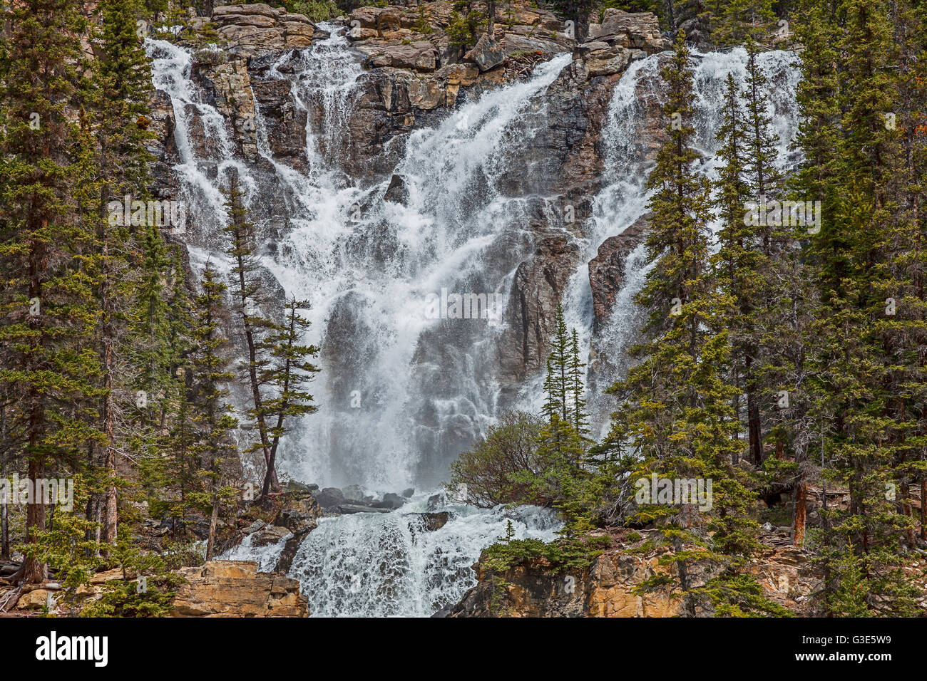 Tangle Falls, Jasper National Park; Alberta, Canada Stock Photo - Alamy