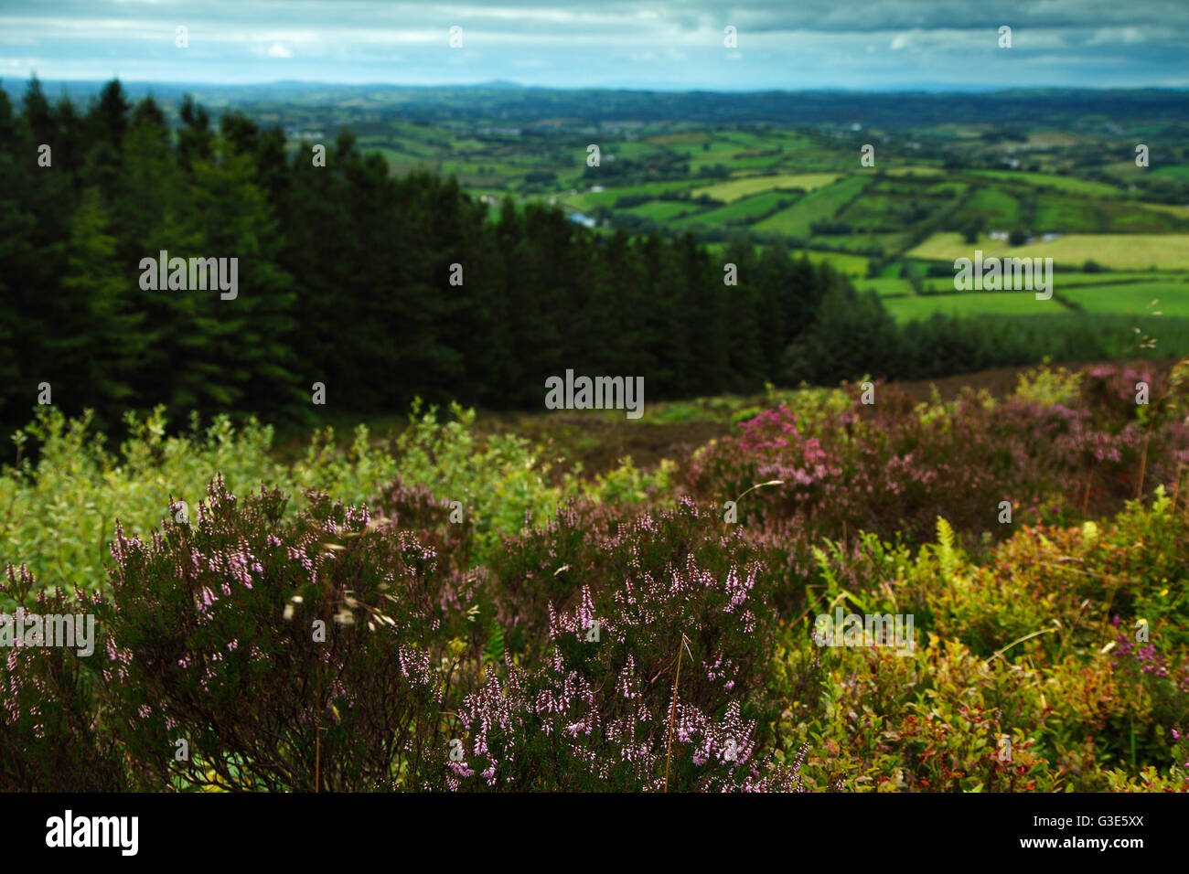View from the top of Loughanleagh mountain; County Cavan, Ireland Stock ...