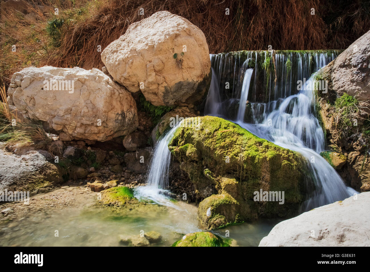 Waterfall ein gedi en israel hi-res stock photography and images - Alamy