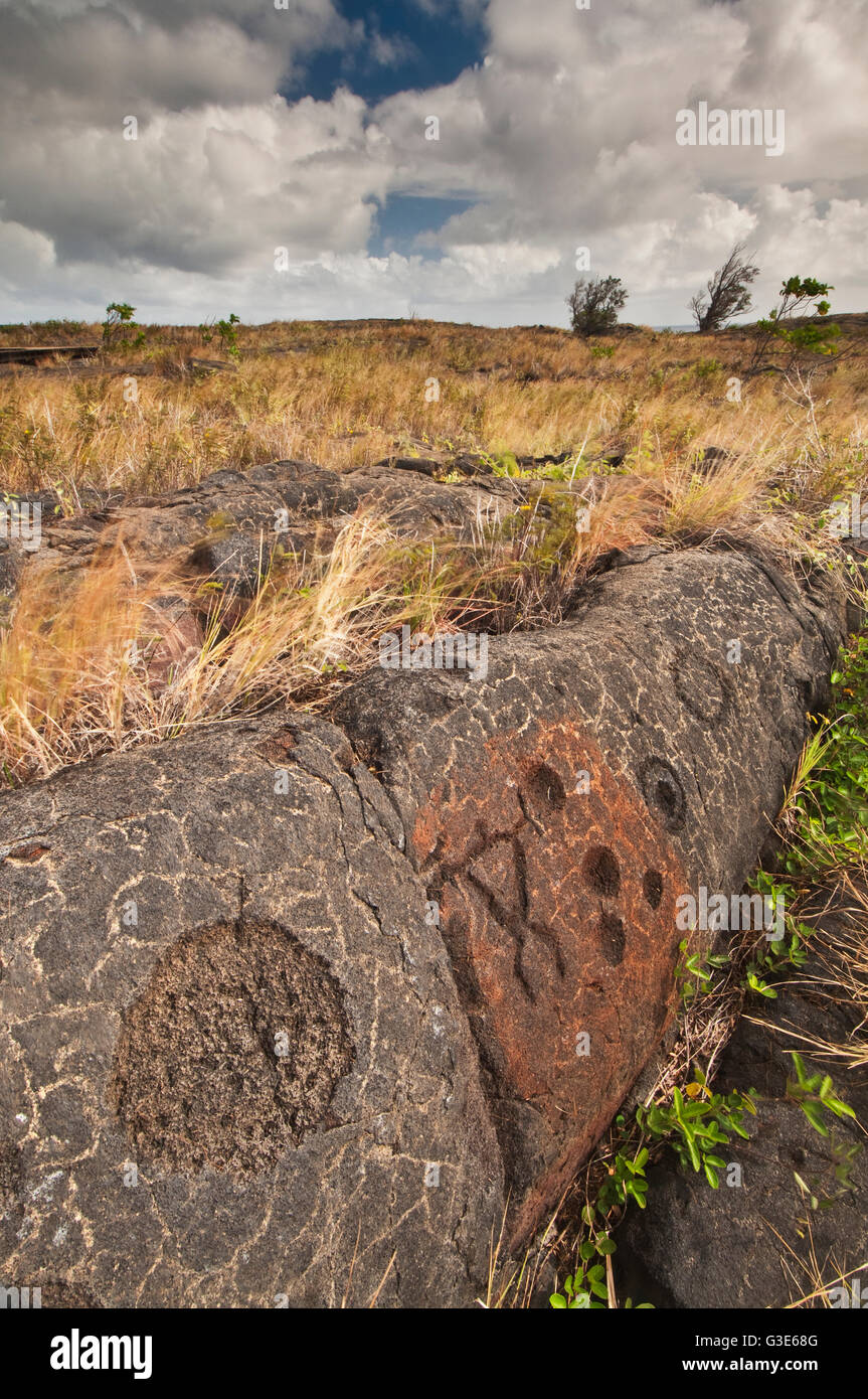 Petroglyphs on a rock outcrop in Hawaii Volcanoes National Park; Island ...