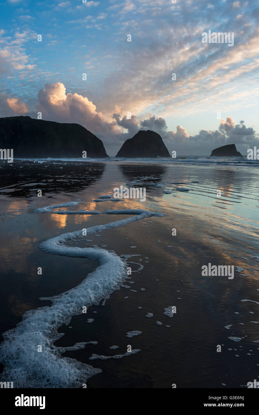 Crescent beach oregon coast hi-res stock photography and images - Alamy