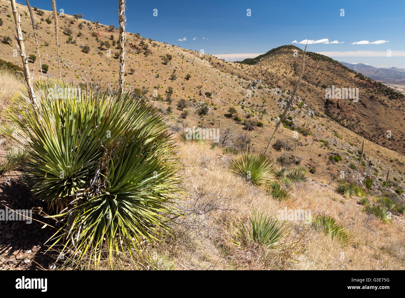 Yucca ridge trail hi-res stock photography and images - Alamy