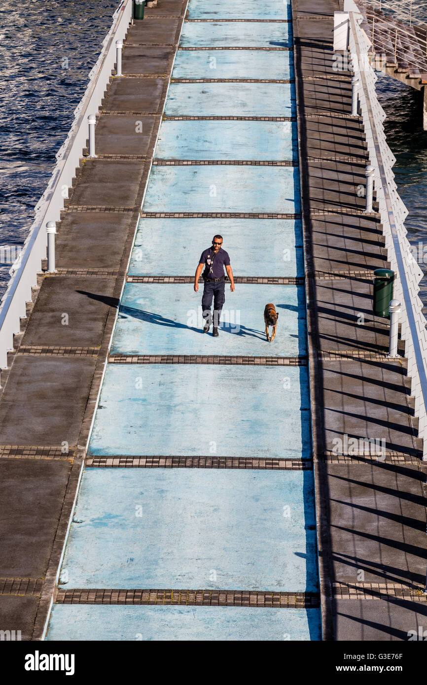 Martinique Police Officer with Police dog on pier Stock Photo - Alamy