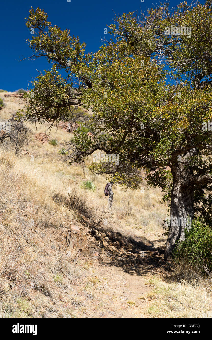 Yucca ridge trail hi-res stock photography and images - Alamy