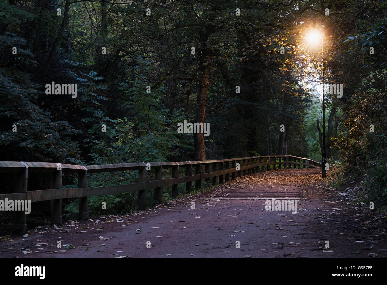 Walking path illuminated by a lamp post at dusk; Newcastle, Tyne and ...