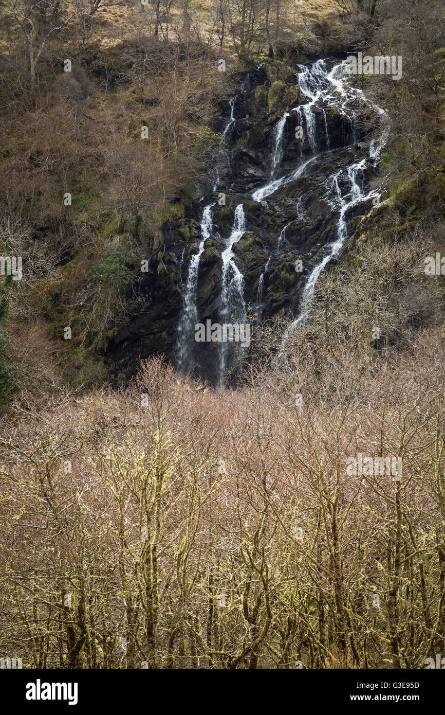 Birch trees and waterfall hi-res stock photography and images - Alamy